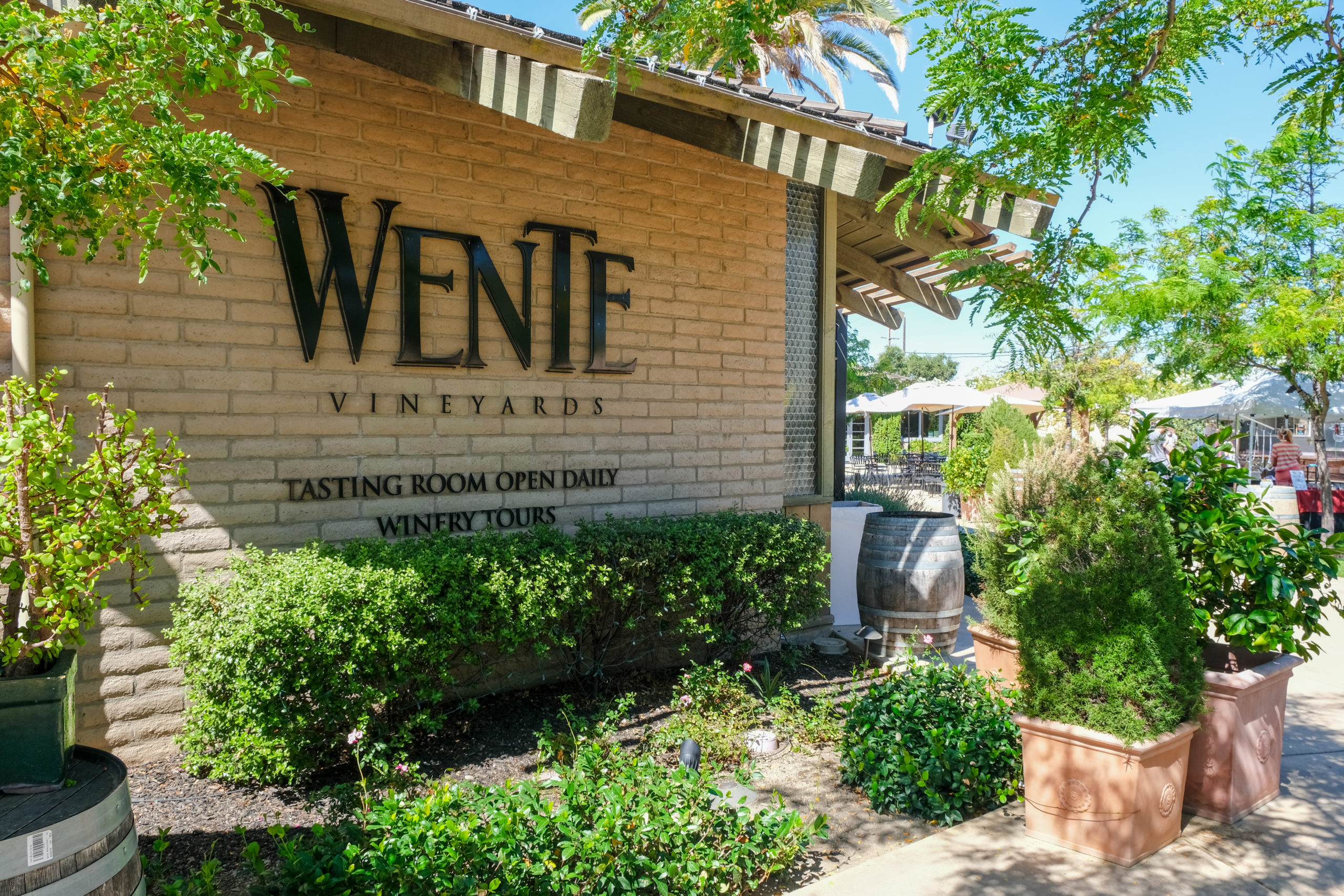 Our visit to Wente Vineyards
