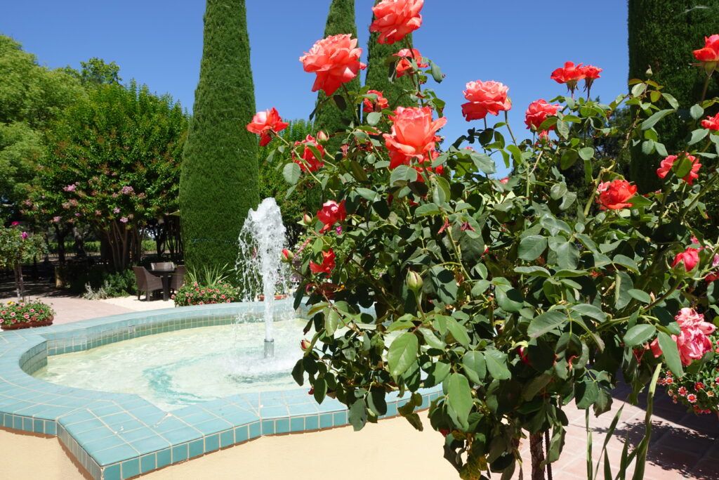 Landmark Vineyards | Good Taste Guide